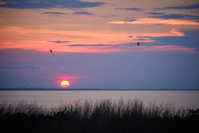 Scenic view of sunset over land | ID: 142766410