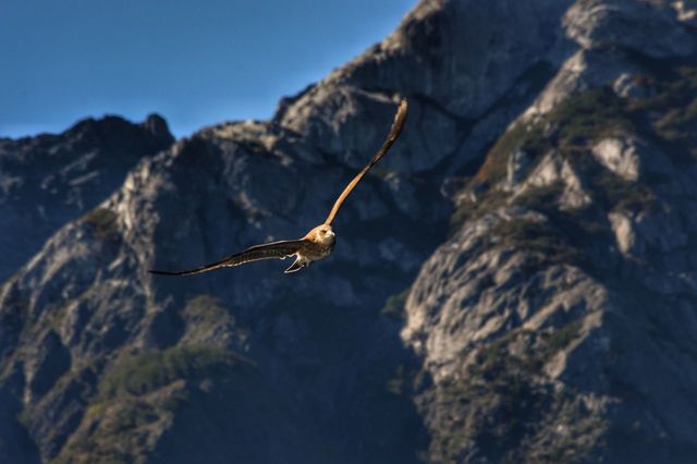 Angostura, Sinaloa Mexico pictures | Curated Photography on EyeEm