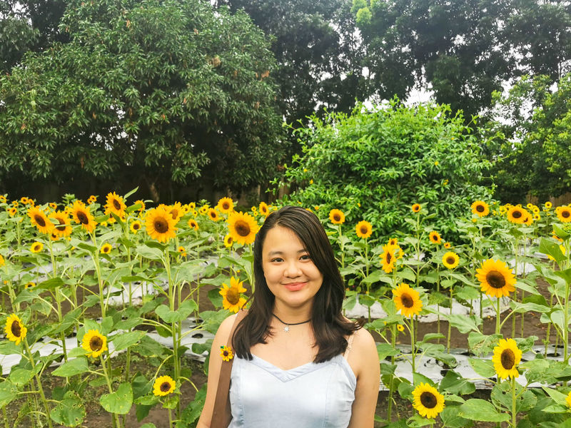Sunflower Farm Jalajala Rizal | Best Flower Site