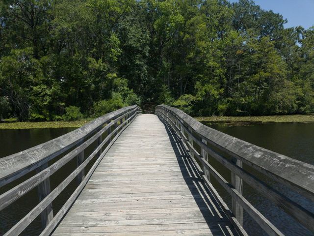 Empty wooden bridge over lake against trees | ID: 90402060
