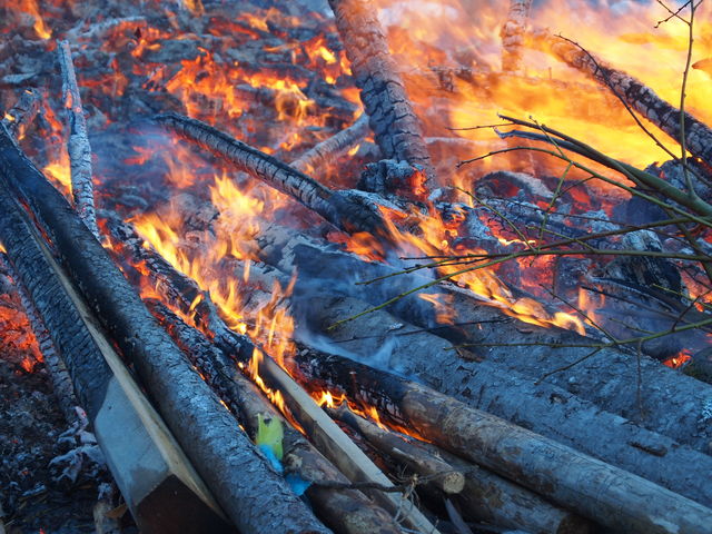 Close-up of bonfire | ID: 104888995