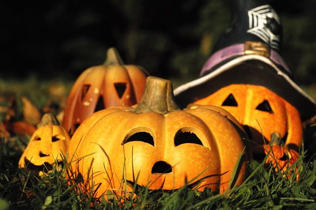 Halloween pumpkins on grassy field | ID: 73758670