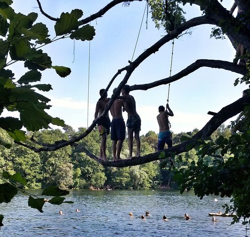 Friends on tree in forest against sky | ID: 16851938