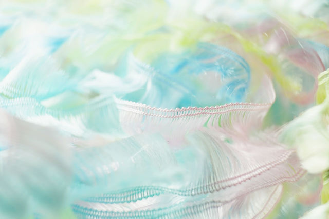Polythene pictures | Curated Photography on EyeEm