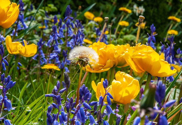 flowering plant 205930807 | Beautiful photography on EyeEm