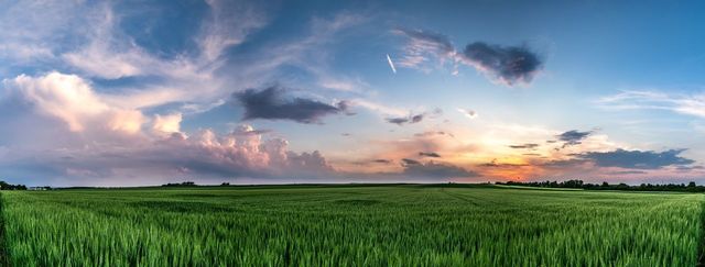 Scenic view of agricultural field against | ID: 123195852