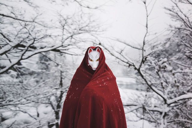 Person in fox mask standing in forest | ID: 55226570
