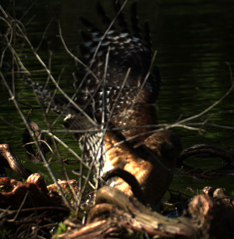 nature 210429869 | Beautiful photography on EyeEm