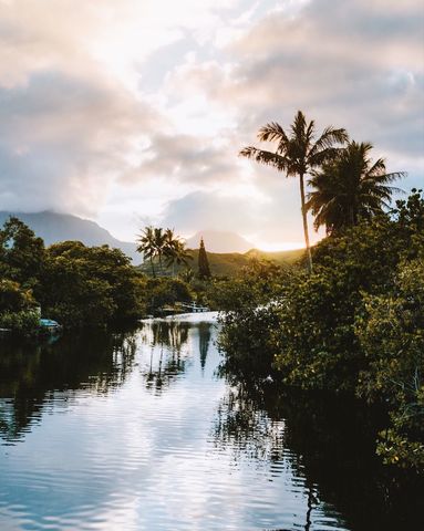 Scenic view of sunset | ID: 103847532