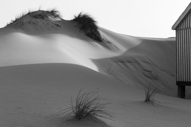 Scenic view of snow covered land | ID: 157051305