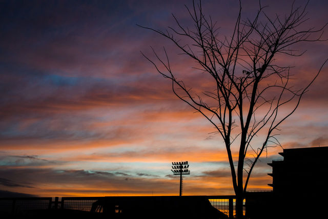 Low angle view of trees against sky during | ID: 211404984