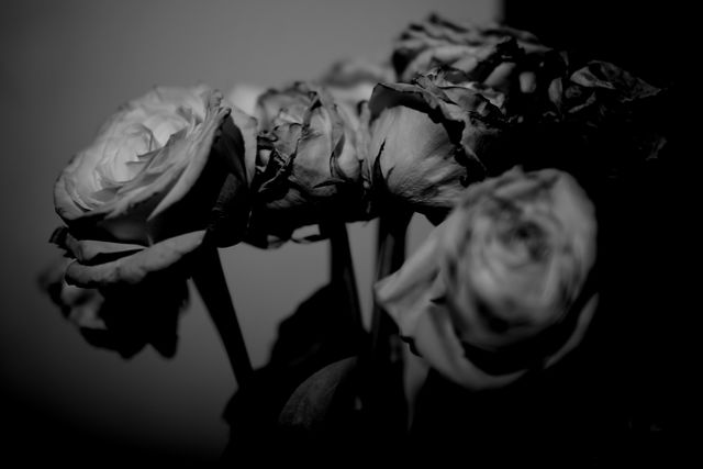 black 219295673 | Beautiful photography on EyeEm