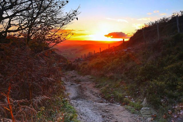 Scenic view of sunset over land | ID: 131627264