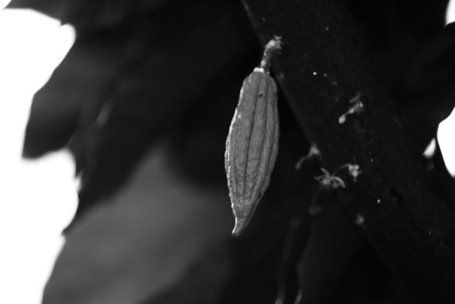 black 220306741 | Beautiful photography on EyeEm