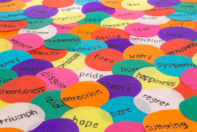 Full frame shot of multi colored labels | ID: 115727879