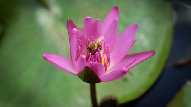 122232794 | Beautiful photography on EyeEm