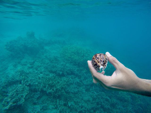 One Animal pictures | Curated Photography on EyeEm