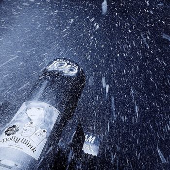 10 Tips & Tricks for Shooting Awesome Photos in the Snow | EyeEm