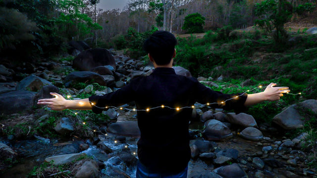 Rear view of man holding illuminated string | ID: 138324039