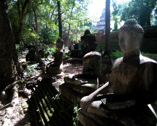 Statue of tree | ID: 100200587