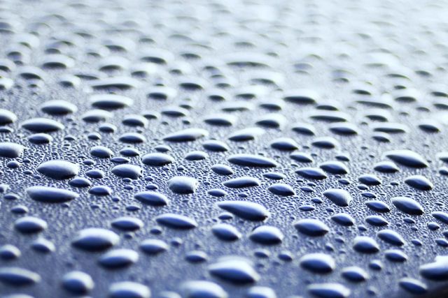Close-up of water drops on surface | ID: 79591138