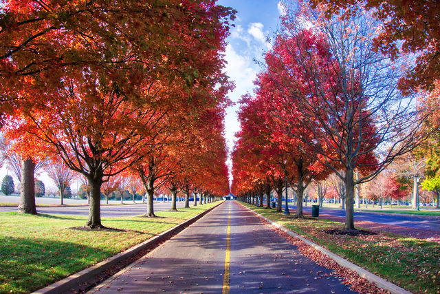 Fall colors | ID: 212525219